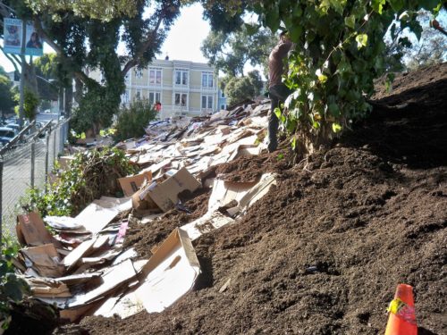 Is Cardboard Biodegradable? The Confusing Reality