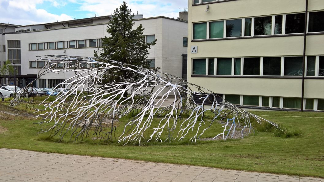 11 Biodegradable Materials That Will Save The Planet