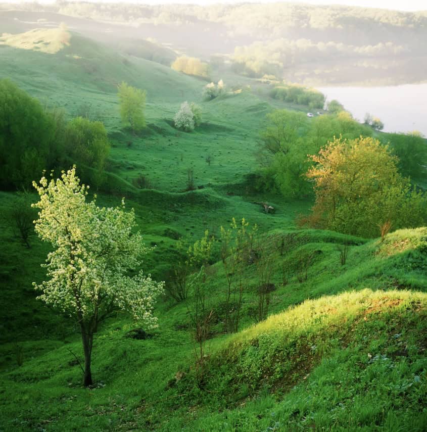 Why Should We Go More Green In 2023?