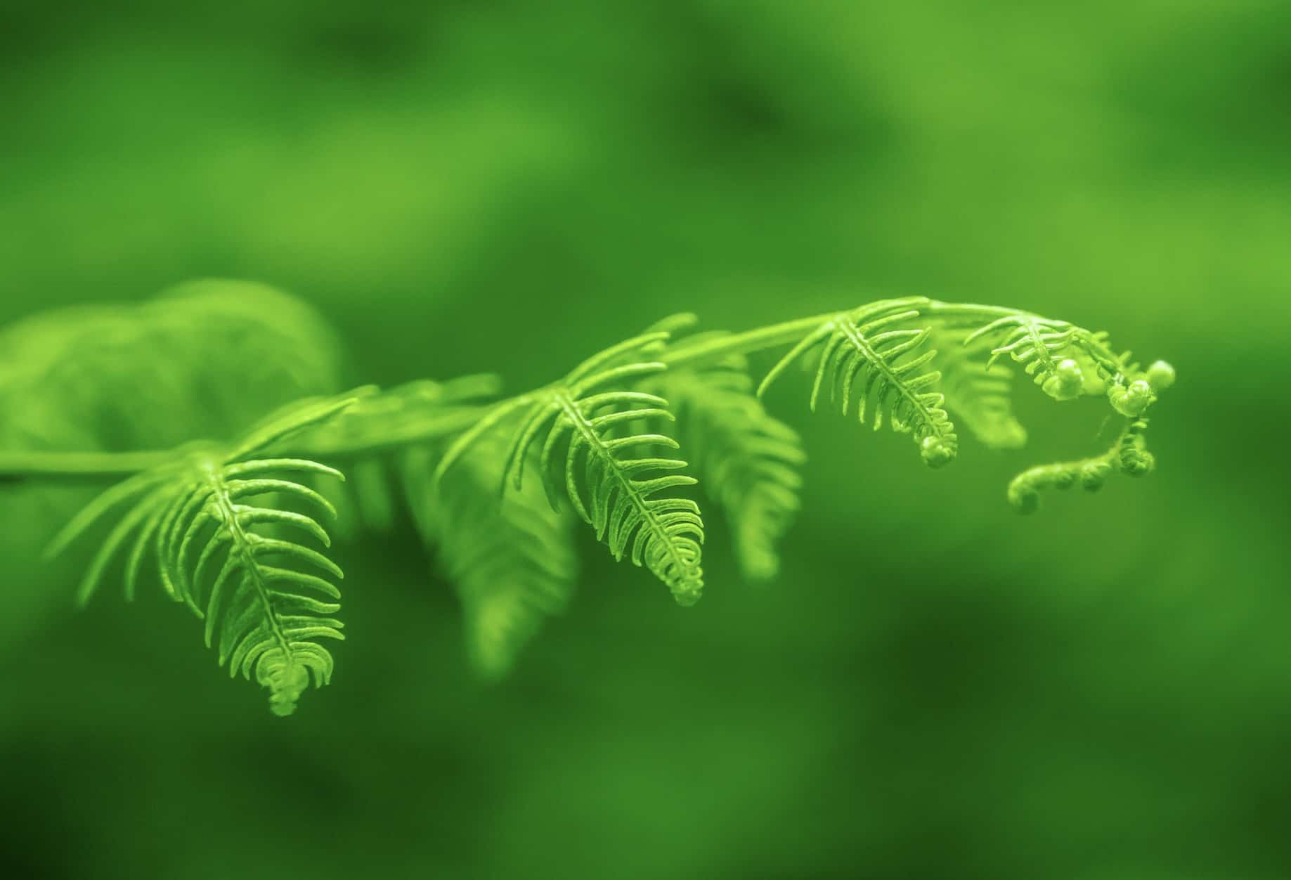 The Blueprint To A Green Company: How To Achieve LEED Certification